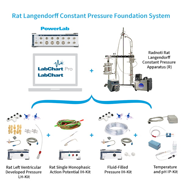 Langendorff perfusion + Isolated Working Heart Systems & Data Analysis | ADInstruments